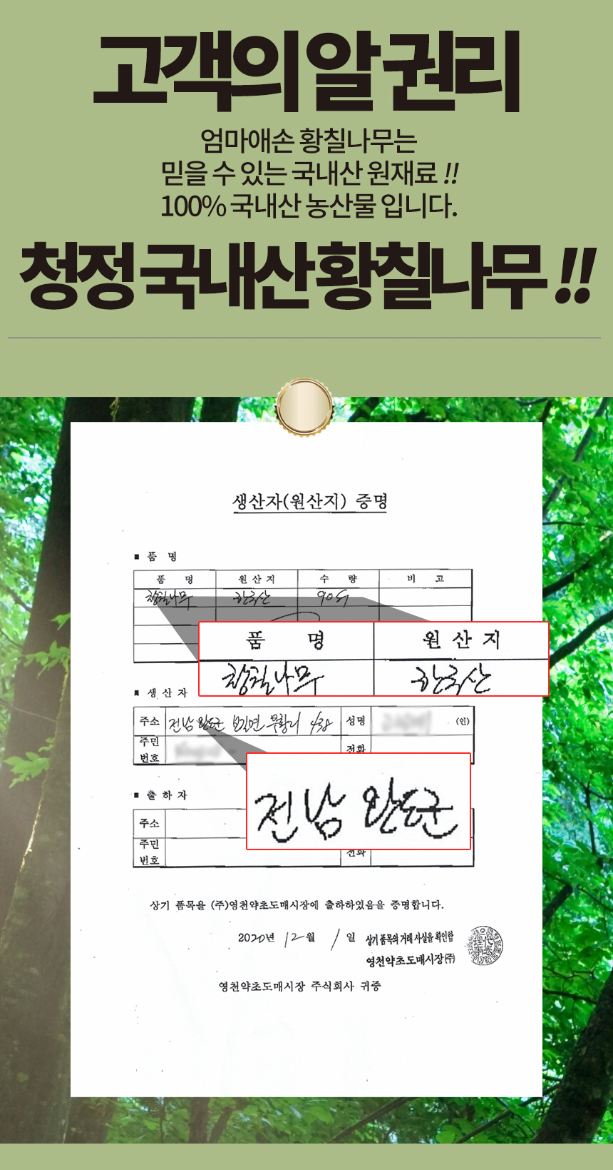 hplusmall 황칠나무 500g - 핫트랙스