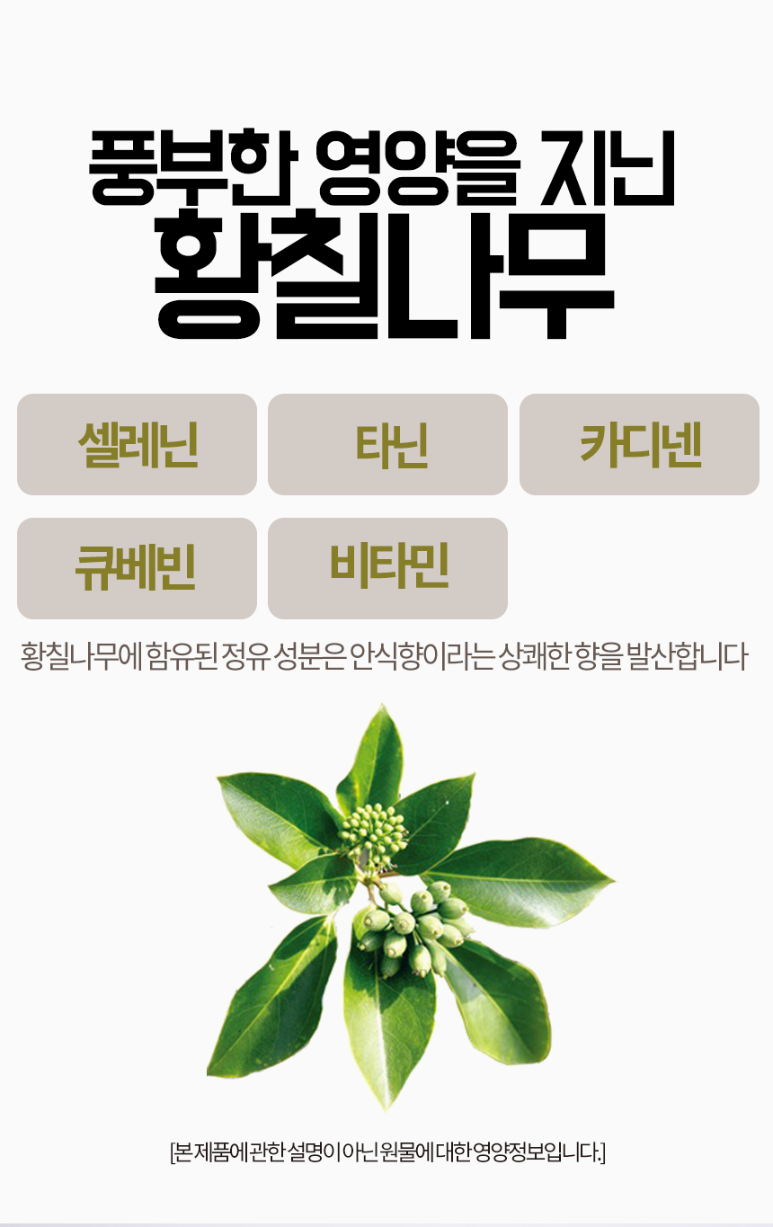 hplusmall 황칠나무 500g - 핫트랙스