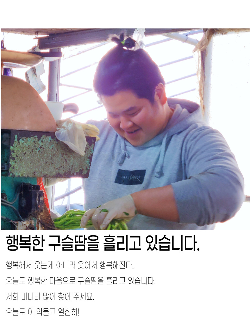 순천 세척 미나리 GAP 인증보유 1kg (500g 2봉) - 오아시스마켓::믿을 수 있는 먹거리